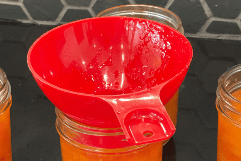 Step-by-Step Guide to Canning Seasonal Fruits - practicalself-reliance.com
